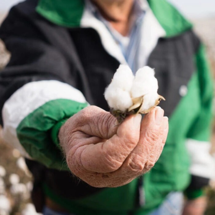 Vision – Interloop